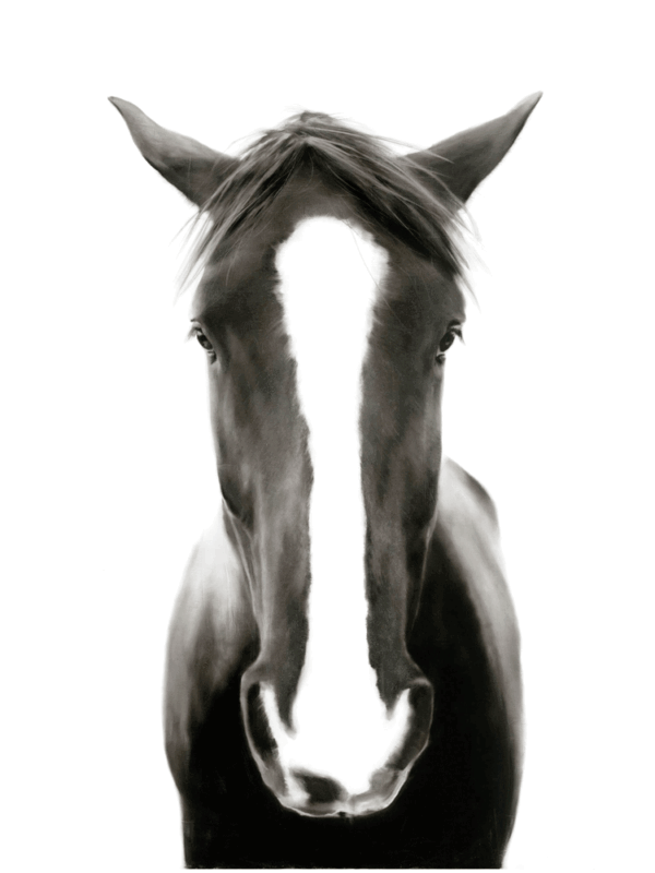 Second Chance - Craft Art Prints